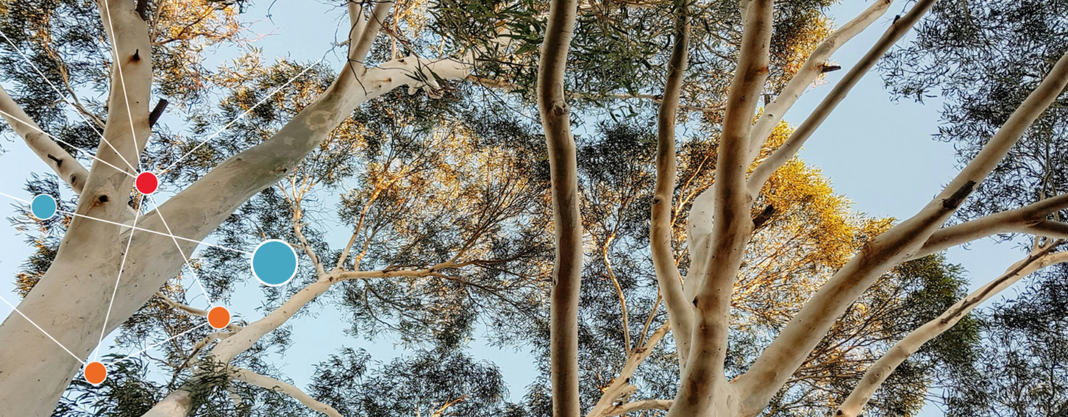 Climate Change Adaptation Strategy MERI framework | ARTD